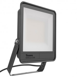 Fosnova Disano LED Floodlight 90W 4000K 9900 lúmenes Gris IP65 2241353200